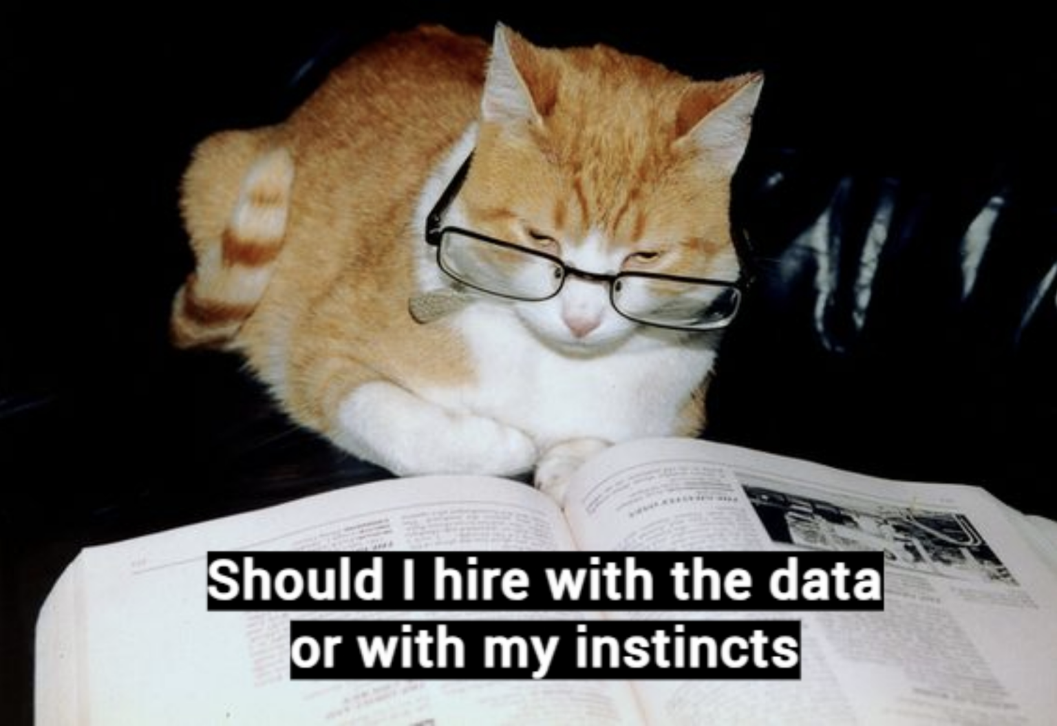 Hiring Challenges In 20 Memes 2024 Edition | Vervoe Blog