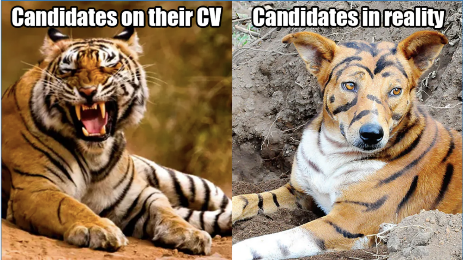 Hiring Challenges In 20 Memes 2024 Edition | Vervoe Blog